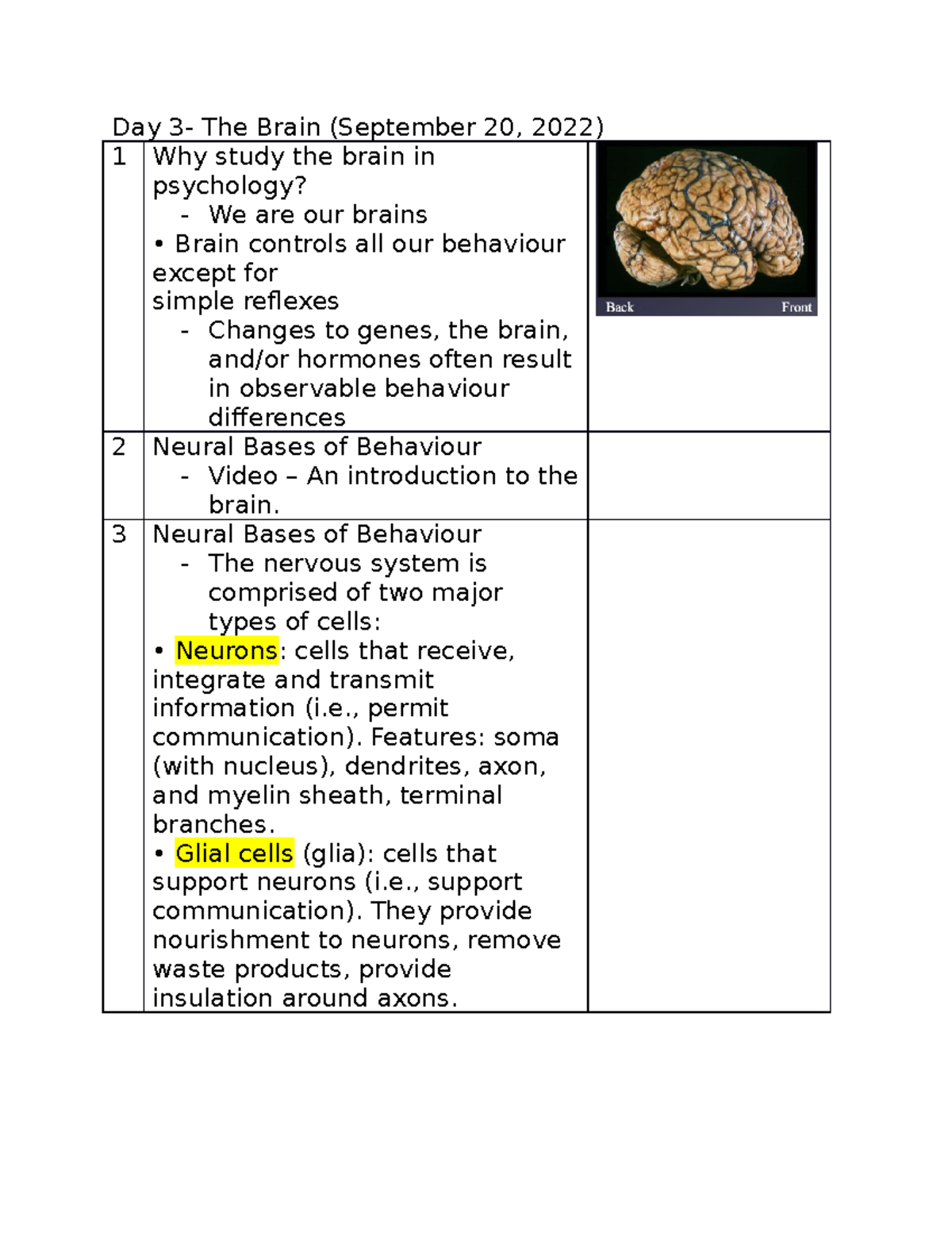 Day 3 - day 3 lecture notes - Day 3- The Brain (September 20, 2022) 1 ...