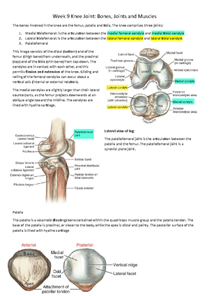 Chapter 6 - Anatomy of the skeletal muscles. - The Elbow and Radioulnar ...