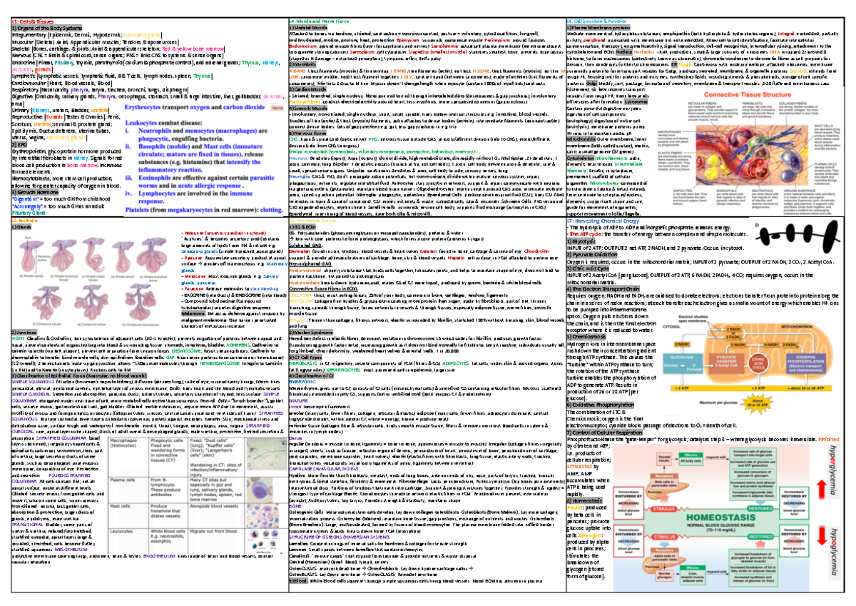 Biosci 107 open notes sheet - L1: Cells & Tissues 1) Organs of the Body ...