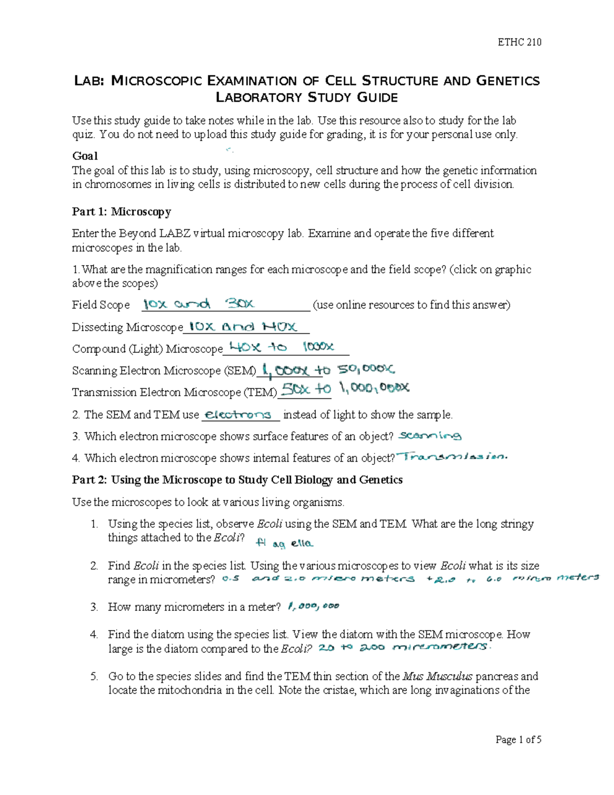 Lab Microscopic Examination of Cell Structure and Genetics Study Guide copy - LAB: MICROSCOPIC ...