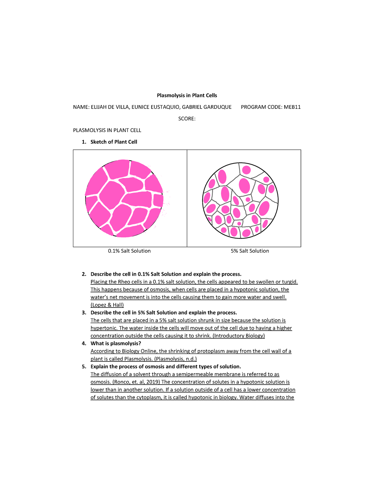 Botany LAB Plasmolysis in Plant Cells - Plasmolysis in Plant Cells NAME ...
