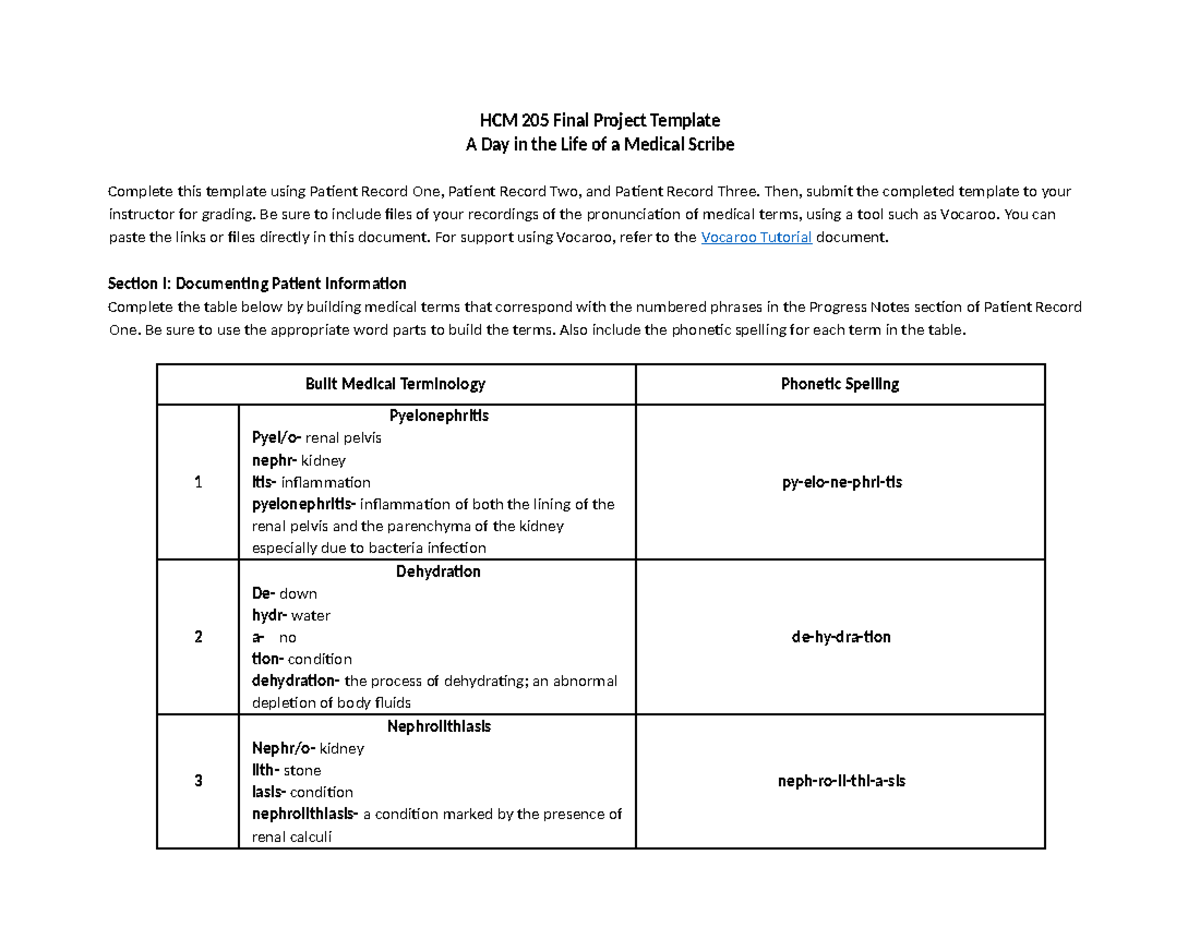HCM 205 Final Project Template.pdf copy - HCM 205 Final Project ...