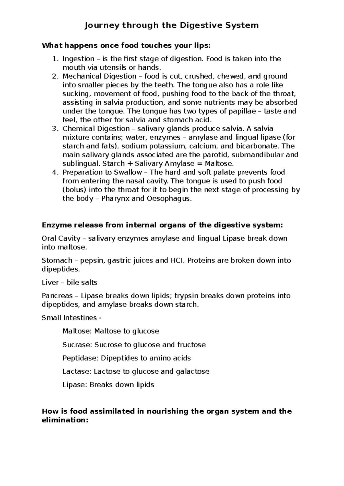 The Digestive System and Functions - Journey through the Digestive ...