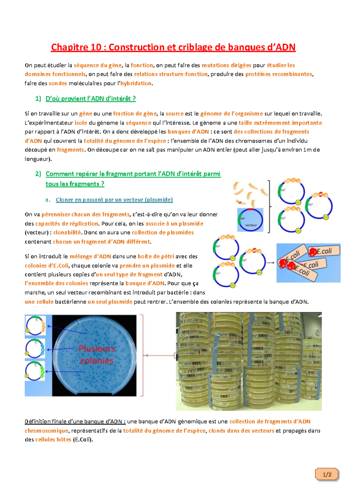 Chap 10 Construction et criblage de banques d ADN - 1/ Chapitre 10 ...