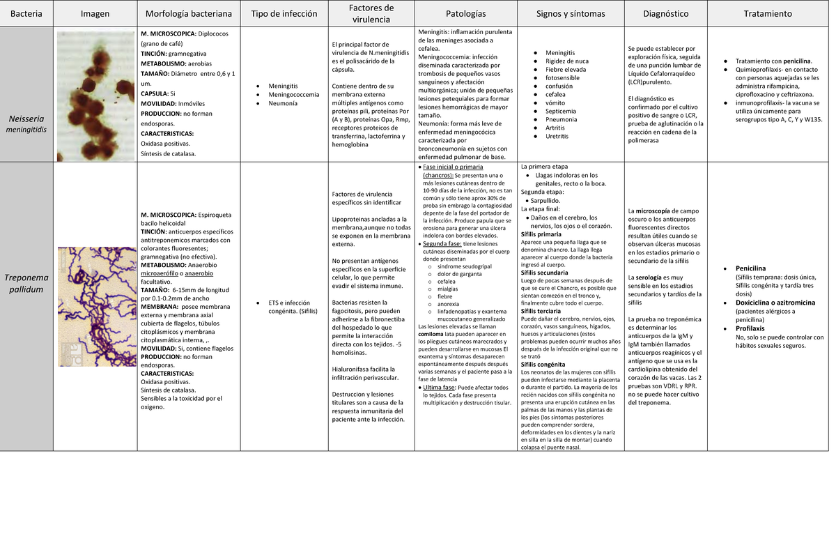 Cuadro 13 - Warning: TT: undefined function: 32 Warning: TT: undefined function: 32 Bacteria ...