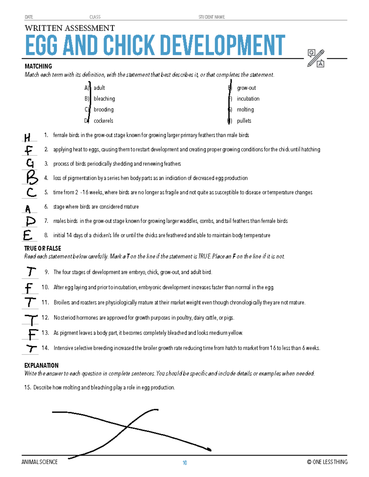 Kami Export - Makayla Williams - quiz 7.3 Egg and Chick Development 4 ...