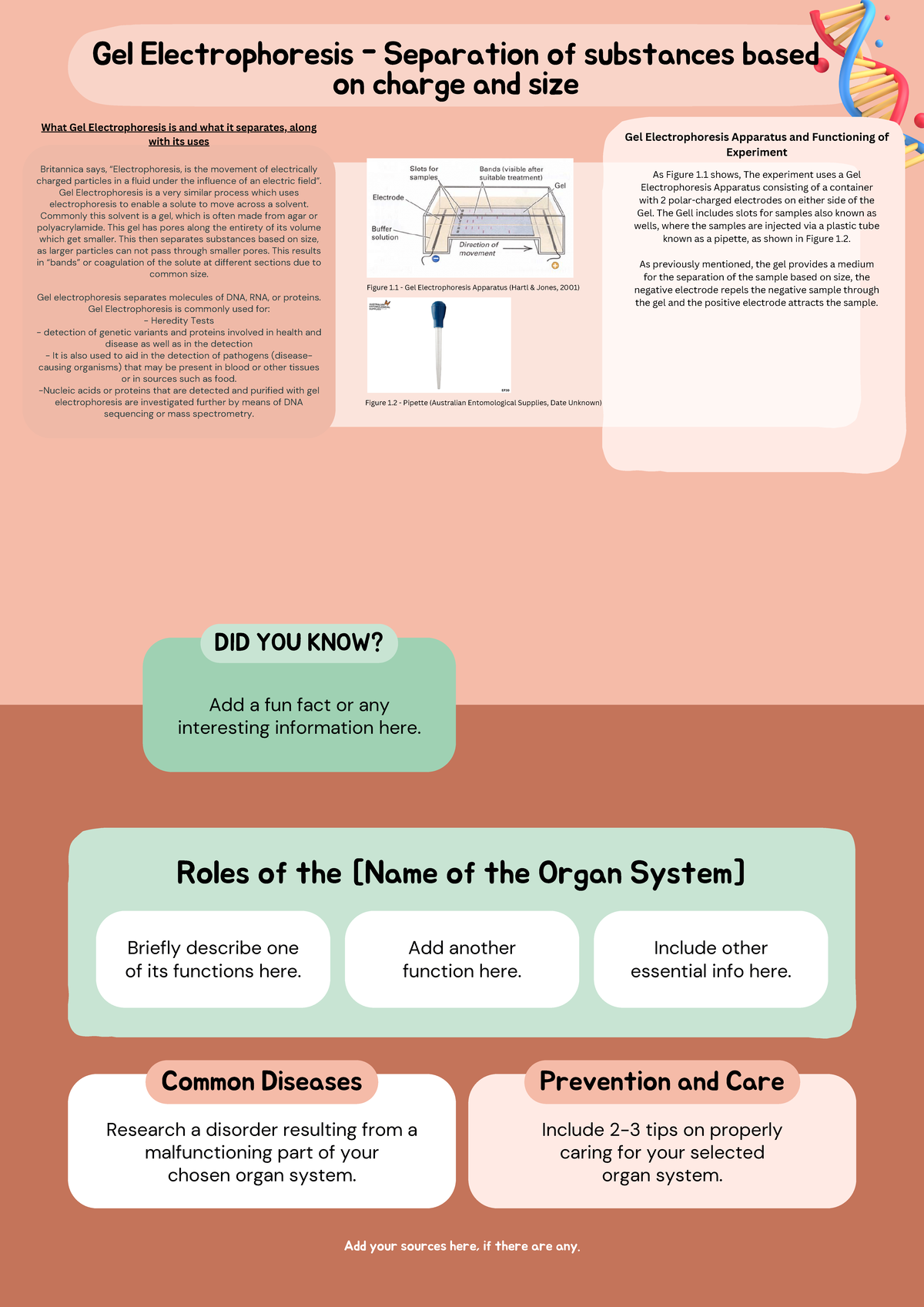 Organ Systems Educational Poster in Light Pink Brown Hand Drawn Style ...
