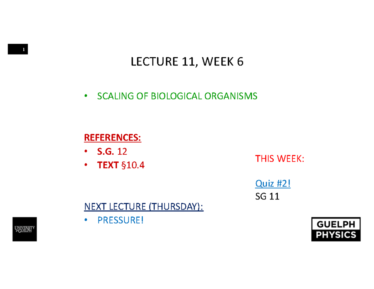 L11 W06 1080 W24 - kkkk - LECTURE 11, WEEK 6 SCALING OF BIOLOGICAL ...