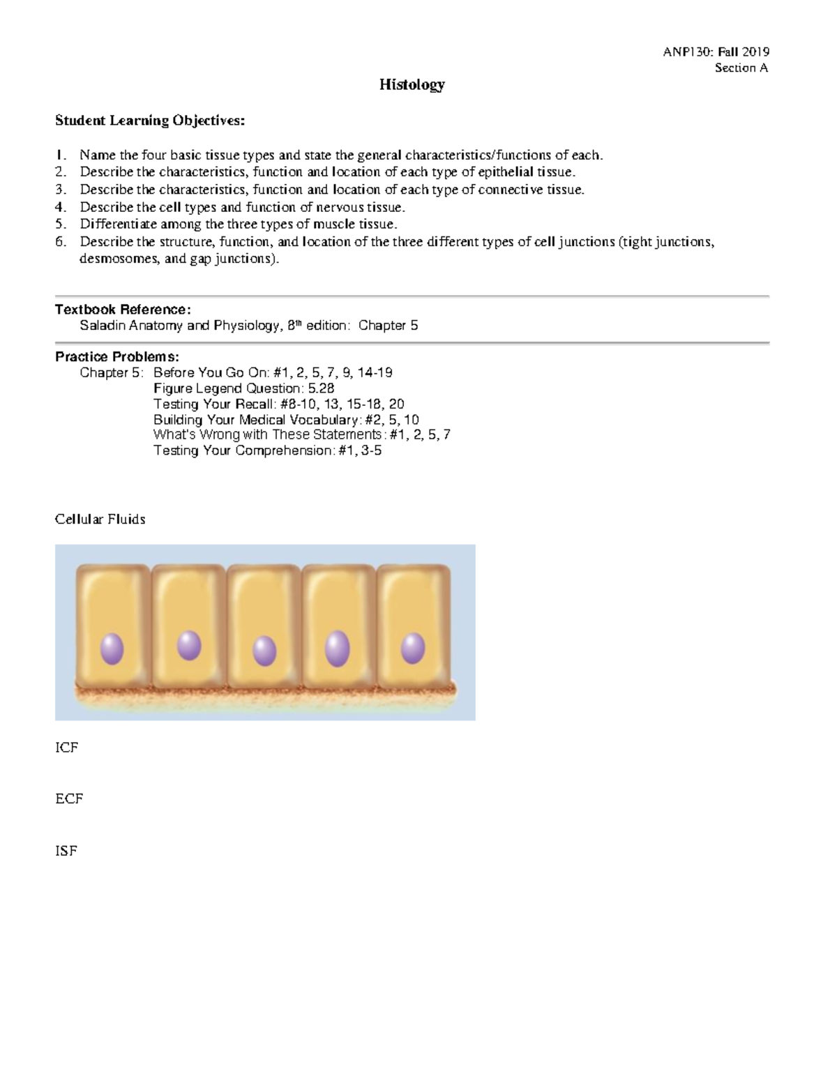 21 Histology Lecture Guide RN - Section A Histology Student Learning ...
