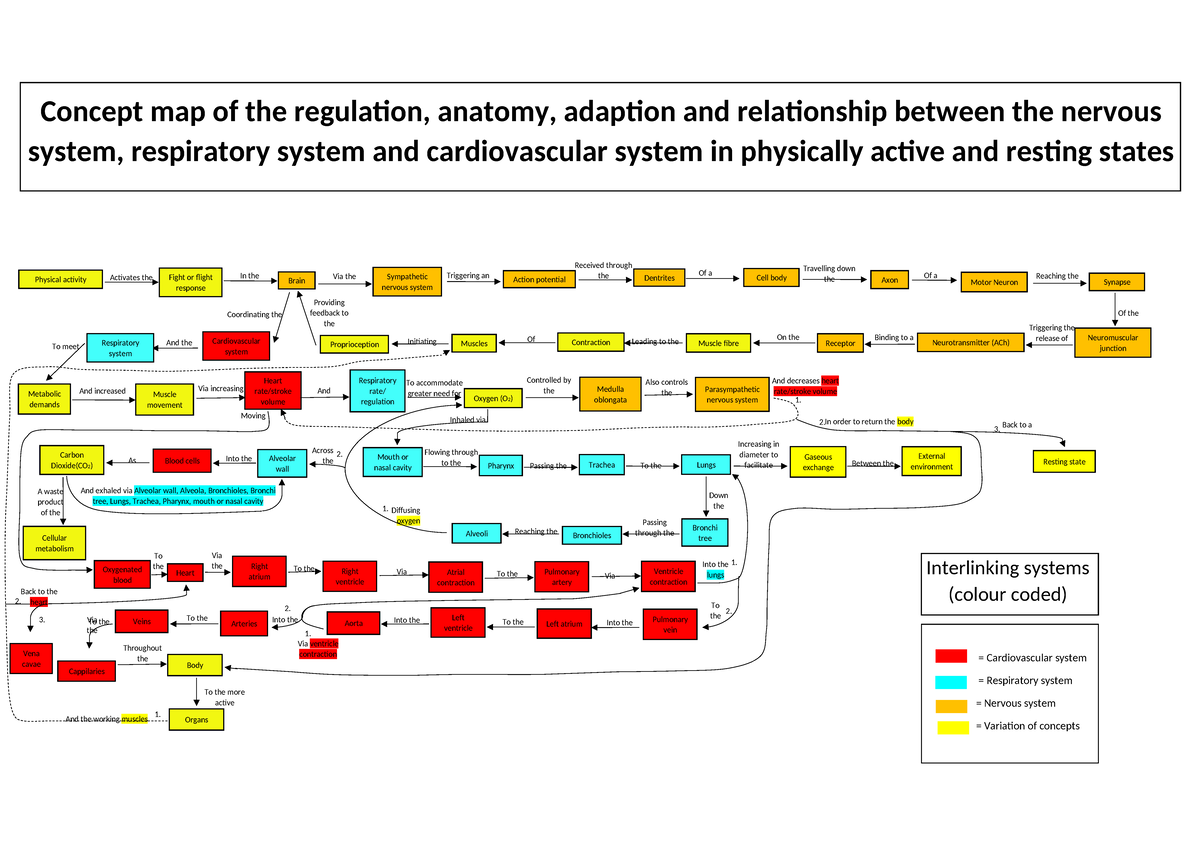 concept map for body - Synapse And the Triggering an On the Binding to ...