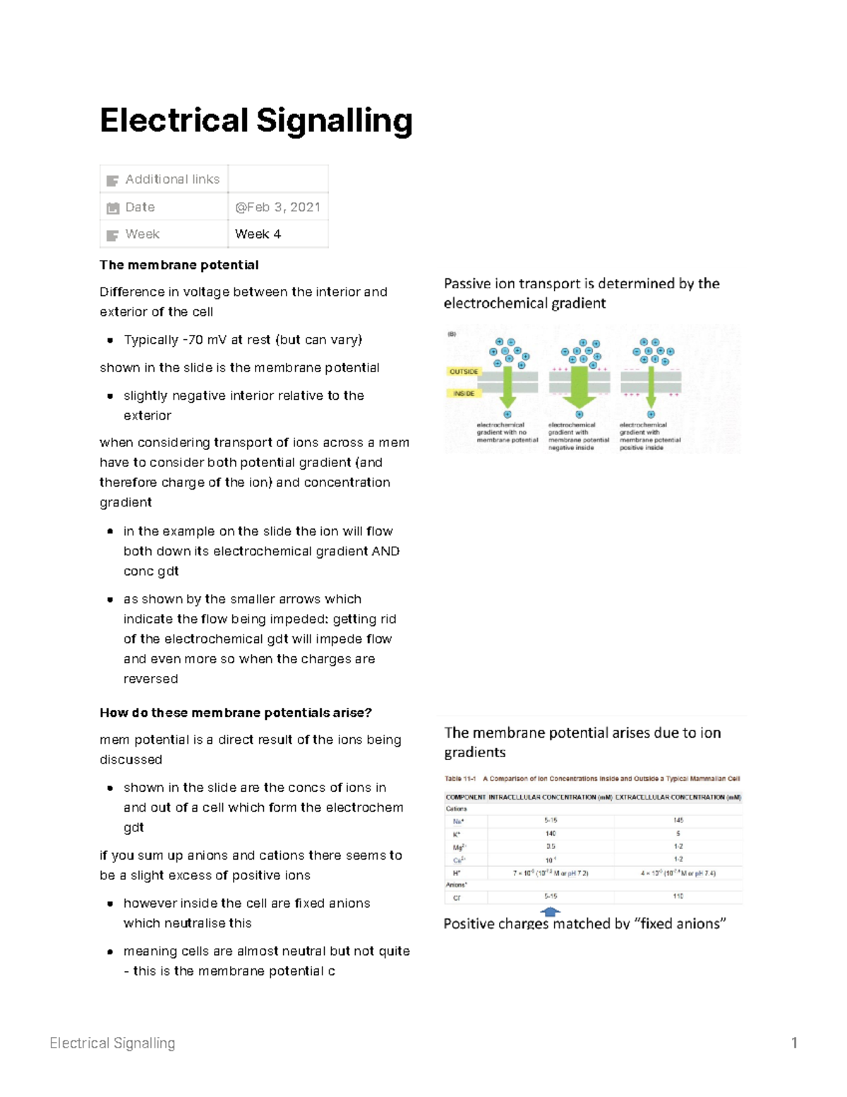 Electrical Signalling - Electrical Signalling Additional links Date ...
