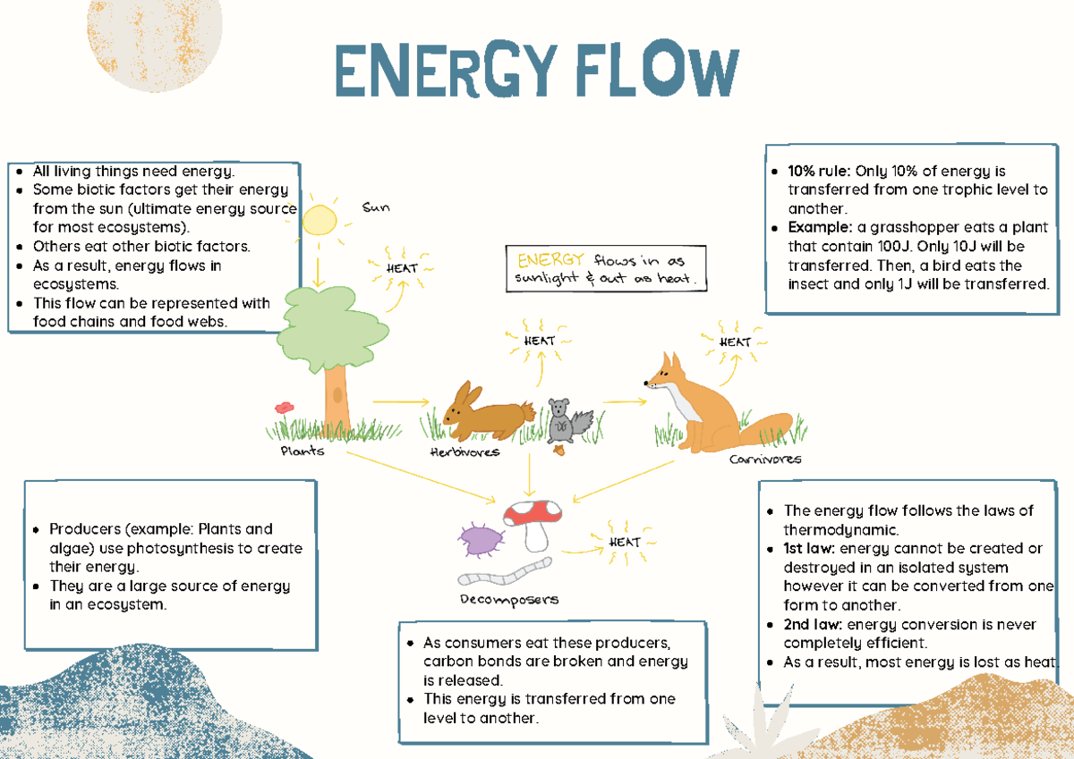 Energy FLOW - environment - All living things need energy. Some biotic ...