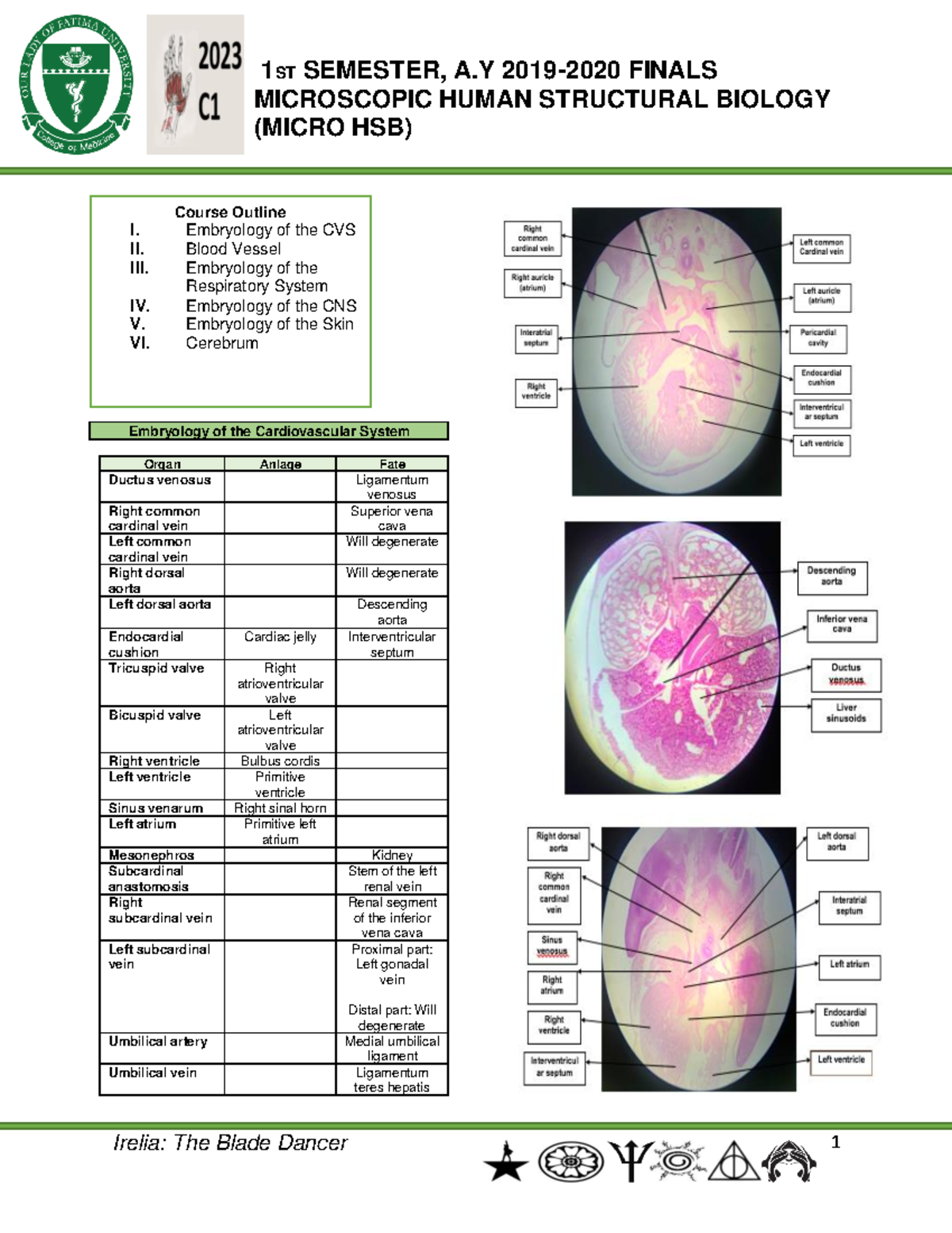 Embryology of the Cardiovascular System - MICROSCOPIC HUMAN STRUCTURAL ...