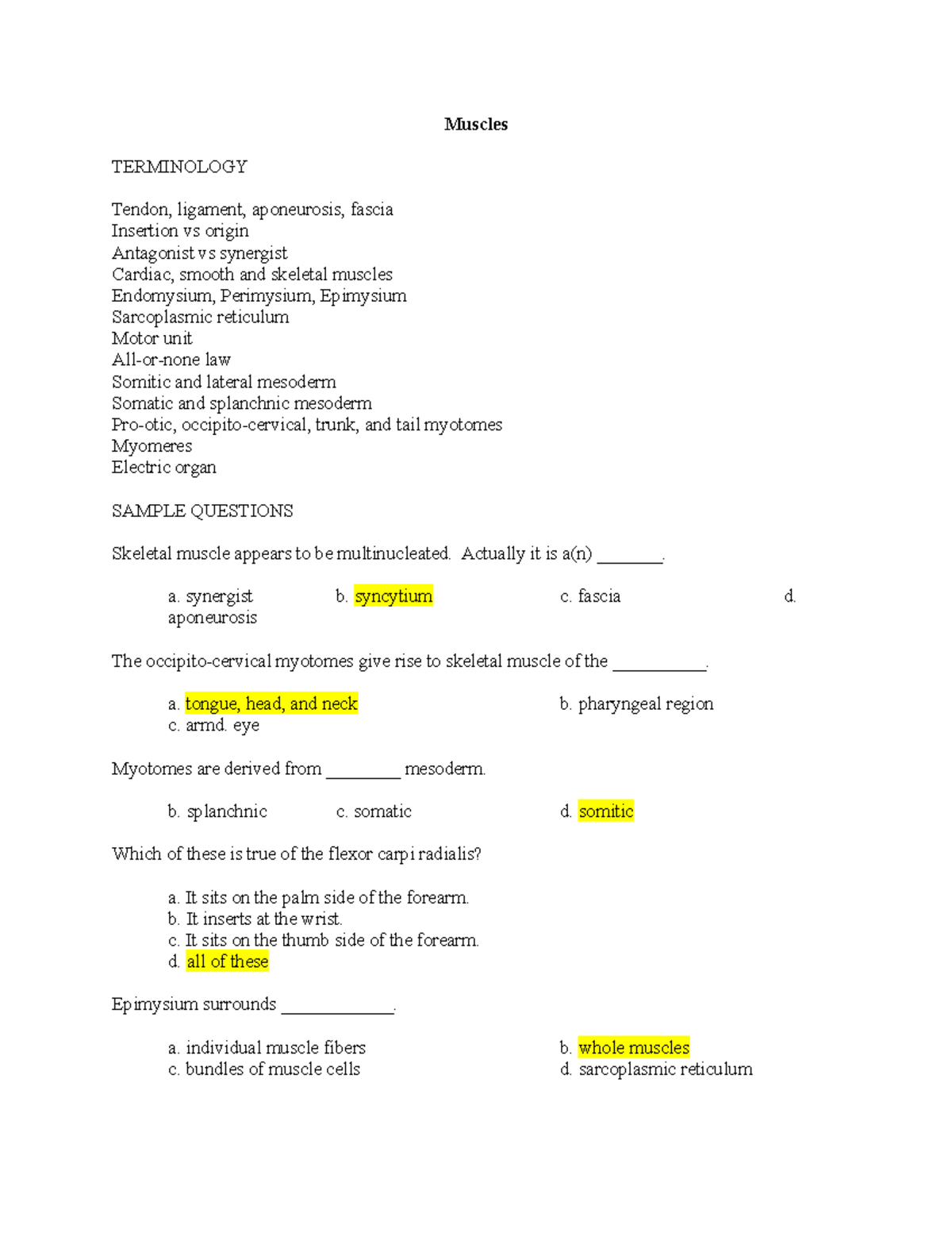 Muscles - Exam 2 questions and answers - Muscles TERMINOLOGY Tendon ...