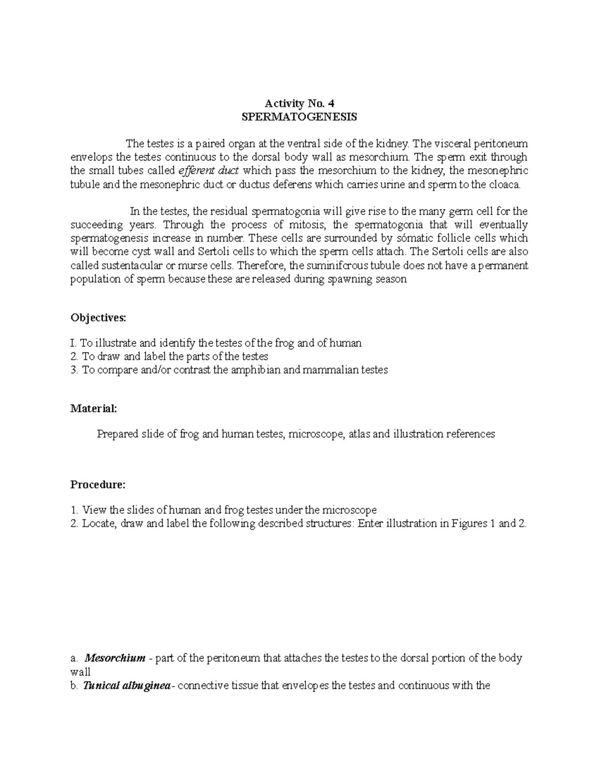 NS Embryology Activity NO - Activity No. 4 SPERMATOGENESIS The testes ...