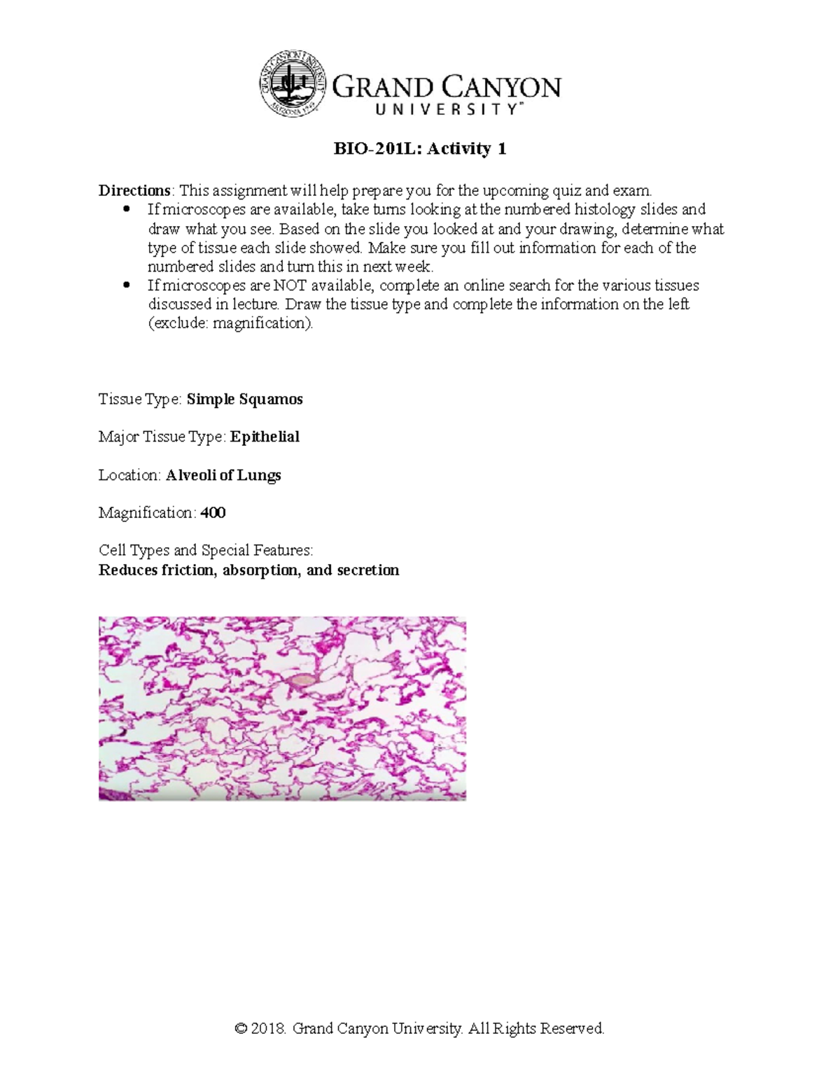 Activity One - BIO-201L: Activity 1 Directions: This assignment will ...