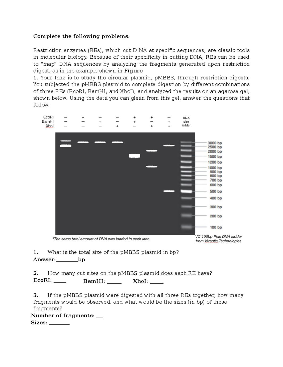 #1 Mol Bio Restriction Analysis Questions - Complete the following ...