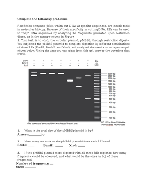 [Solved] Draw the actual map of the pMBBS plasmid following the style - Cell Biology - Studocu