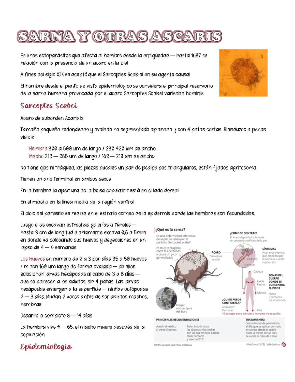 Sarna - Microbiología y Parasitología - − SARNA Y OTRAS ASCARIS − − − − ...