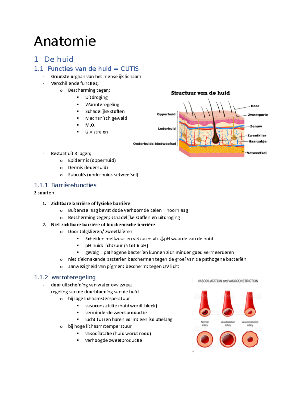 Hoofdstuk 3 de huid - samenatting deel 3 van vives cursus anatomie 1 ...