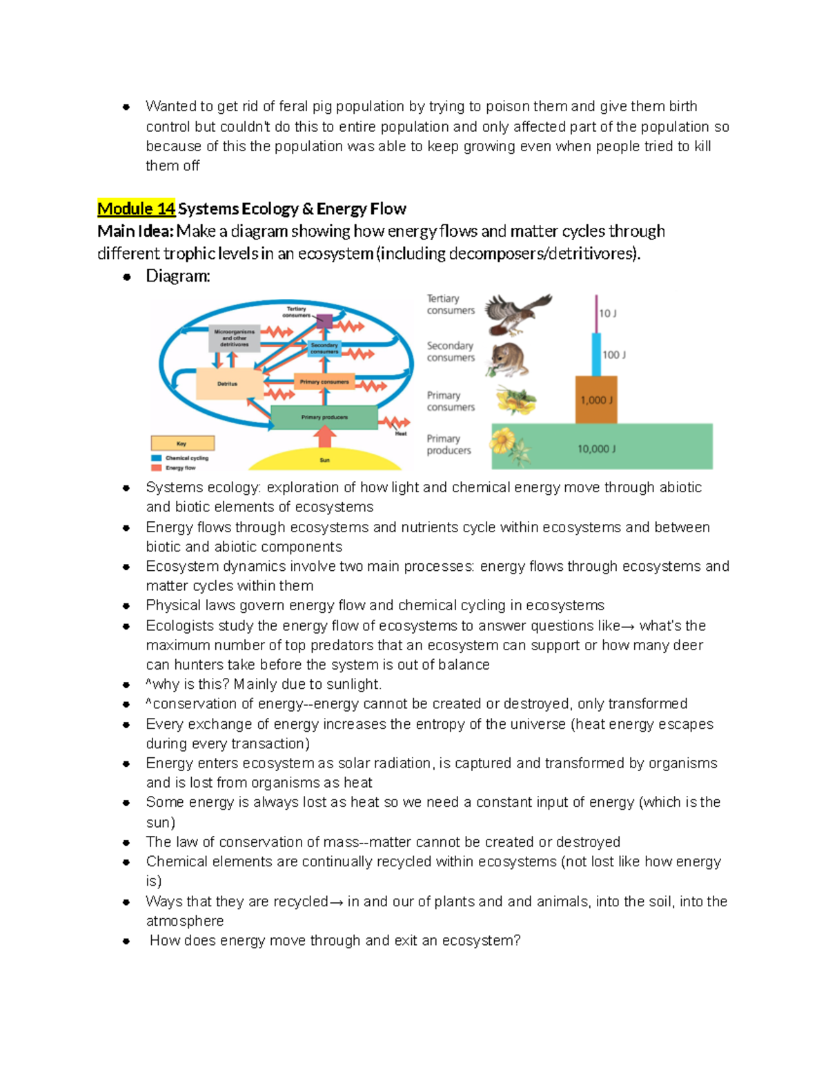 Module 14 Study Guide - Hansen - Ɣ - Studocu
