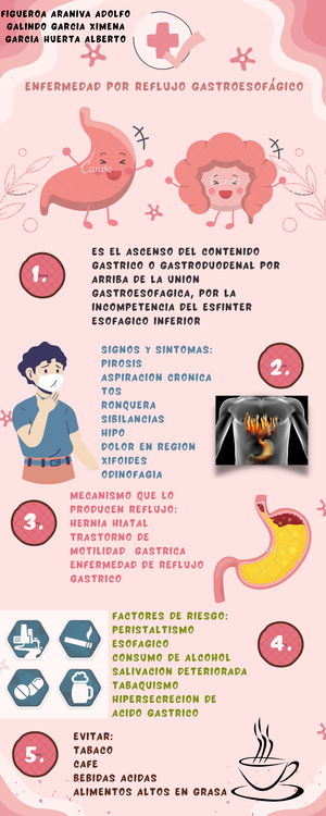 Mapa mental HHV-3 - HHV Human herpesvirus 3 Betaherpesvirinae HHV ...