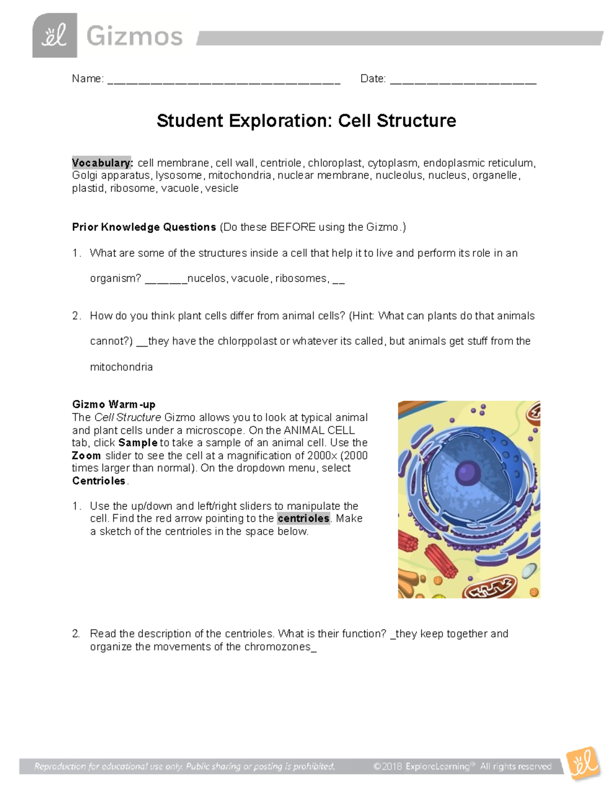 Gizmos Cell Structure - 2018 Name ...