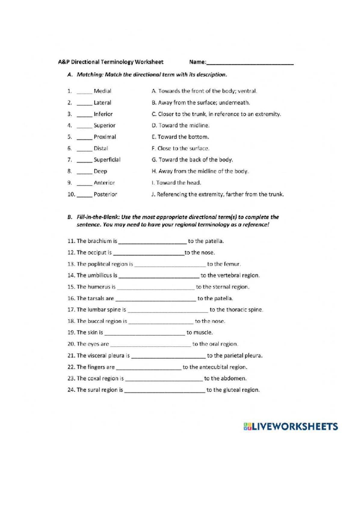Document - learn through identification - Directional Terminology ...