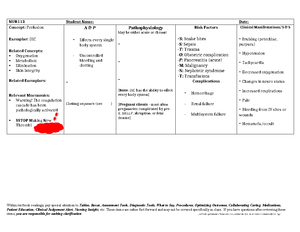 Chronic pain Care plan - Care plan - Prework Template Care Plan ...