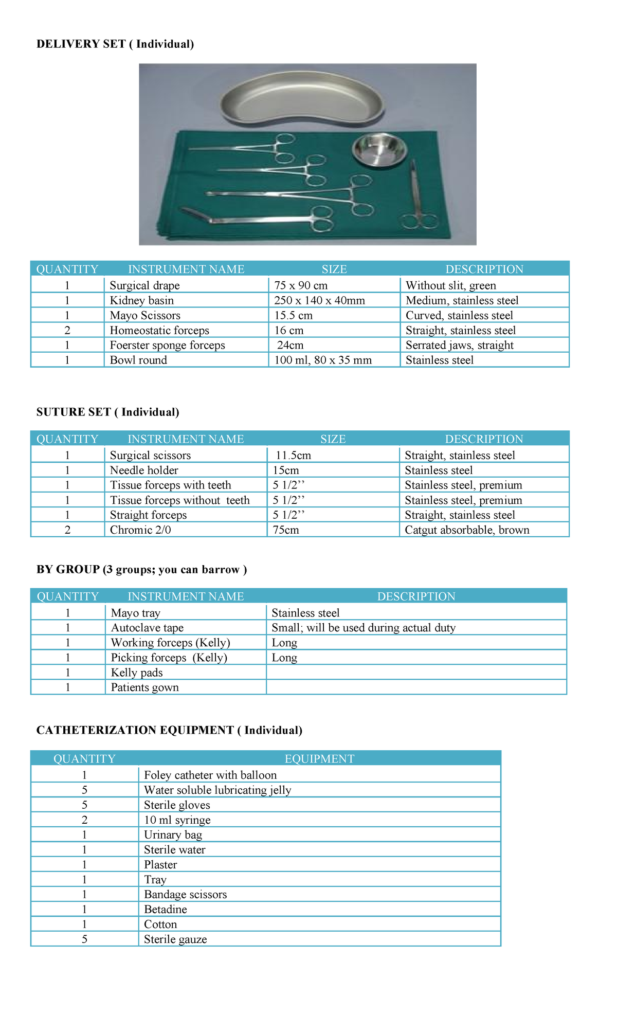 Instrument - Wala pud - DELIVERY SET ( Individual) QUANTITY INSTRUMENT ...