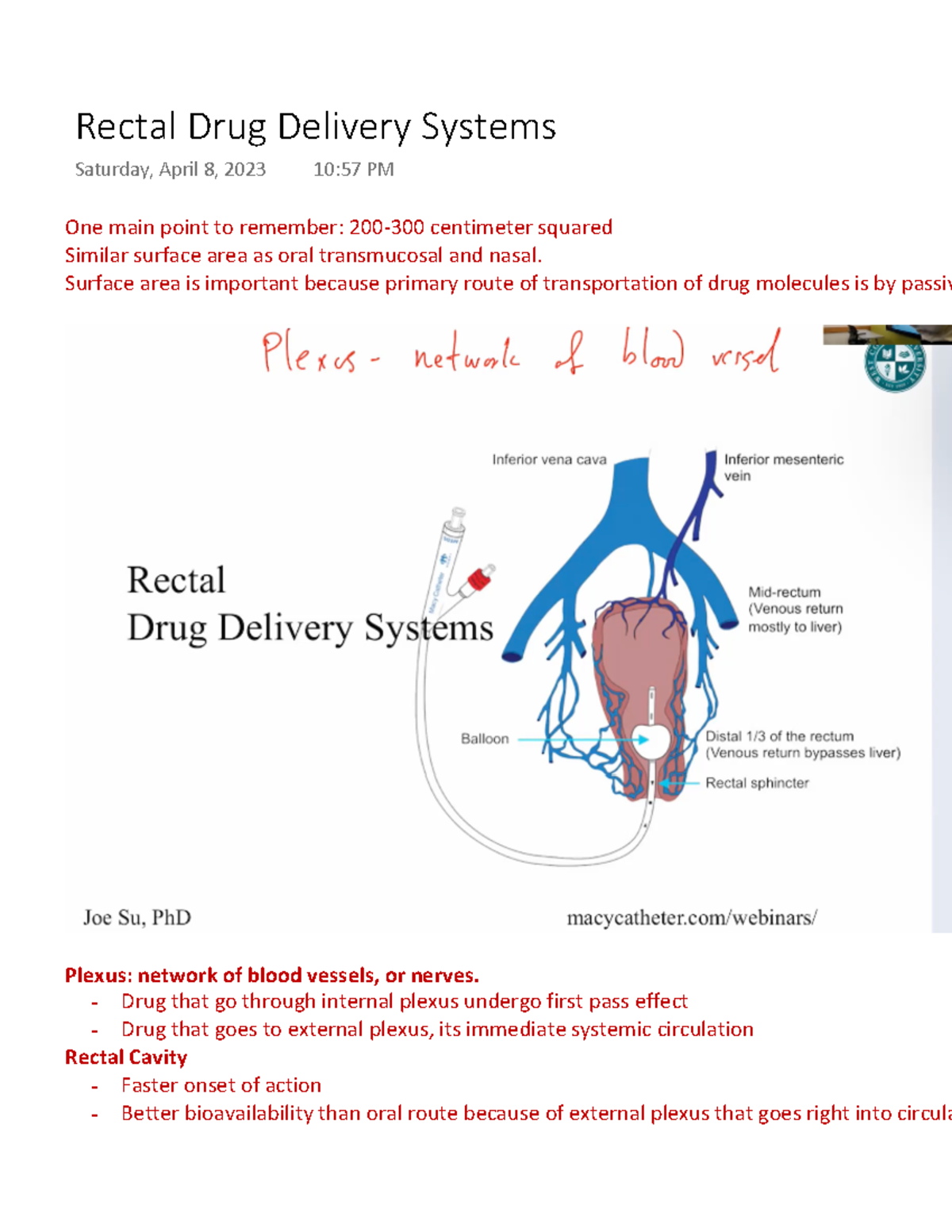 Rectal Drug Delivery Systems - One main point to remember: 200-300 ...