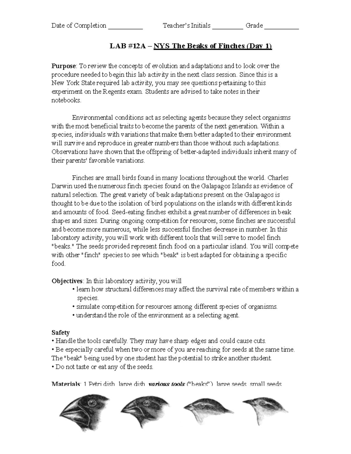 Beaks of finches - NYS lab - LAB #12A – NYS The Beaks of Finches (Day 1 ...