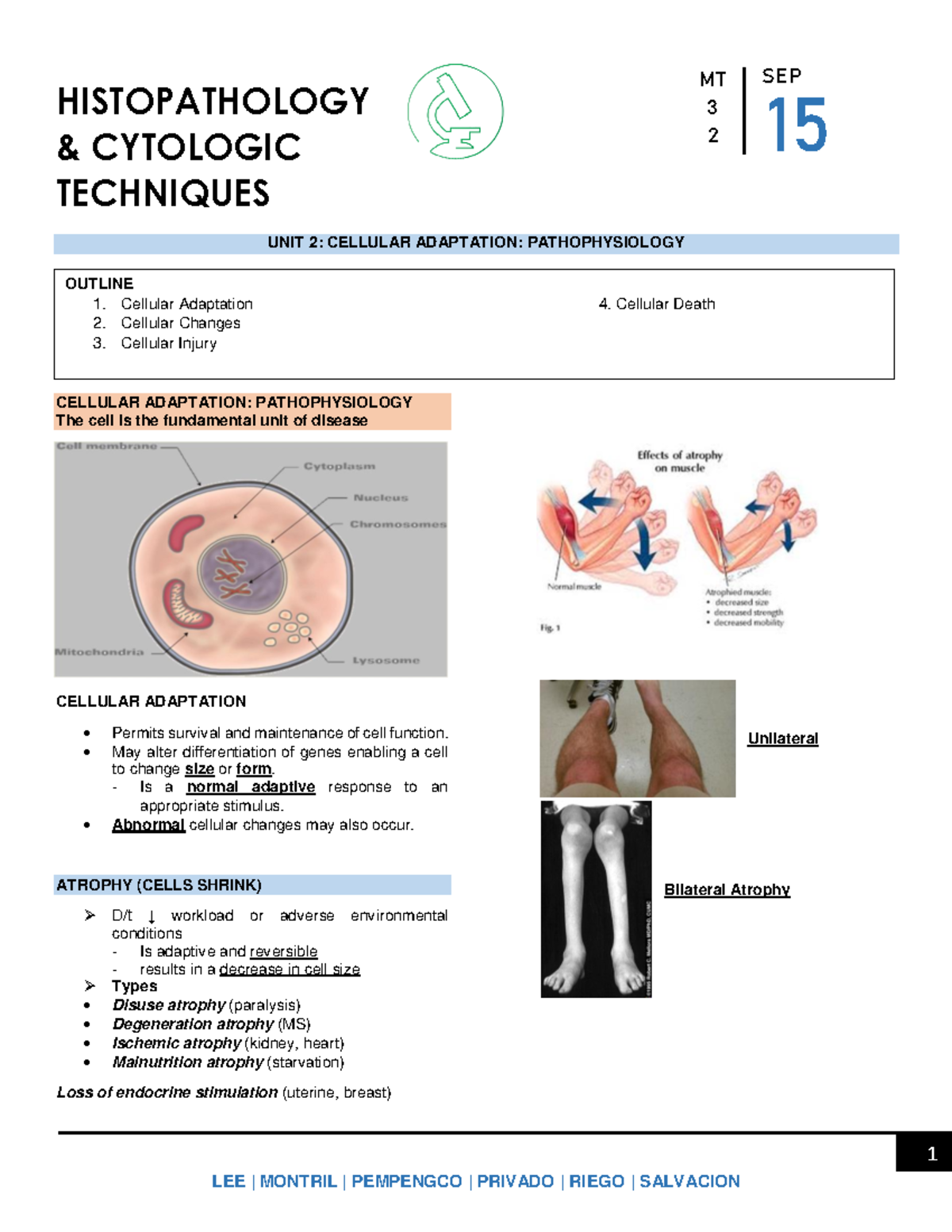 Cellular Adaptation and Pathophysiology - 15 HISTOPATHOLOGY & CYTOLOGIC ...