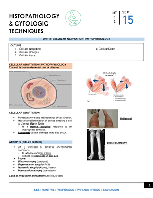 Histopathology Decalcification and Dehydration - 04 OCT HISTOPATHOLOGY ...