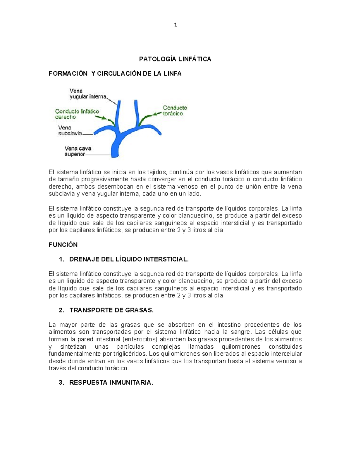 12. Linfaticos 2 24 - Linfáticos - PATOLOGÍA LINFÁTICA FORMACIÓN Y ...