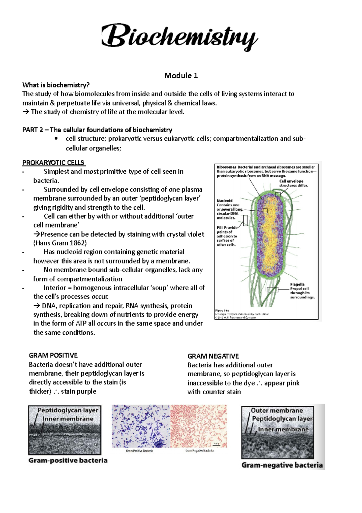 IBM Notes - Module 1 What is biochemistry? The study of how ...