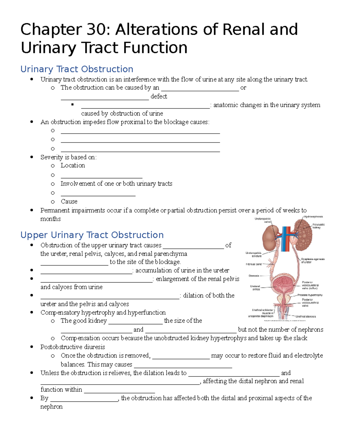 Chapter 30 Notes - Alterations of Renal and Urinary Tract Function ...