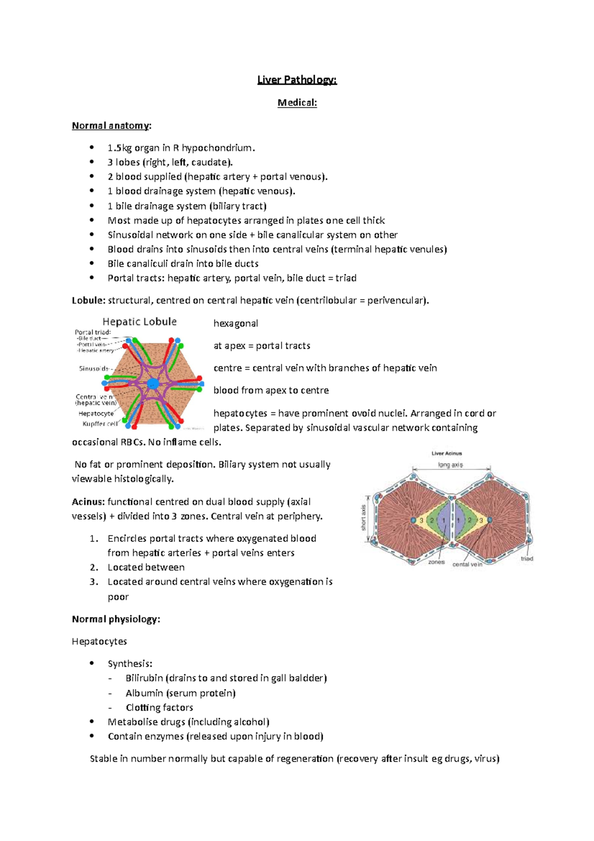 Liver pathology - Liver Pathology: Medical: Normal anatomy: 1 organ in ...
