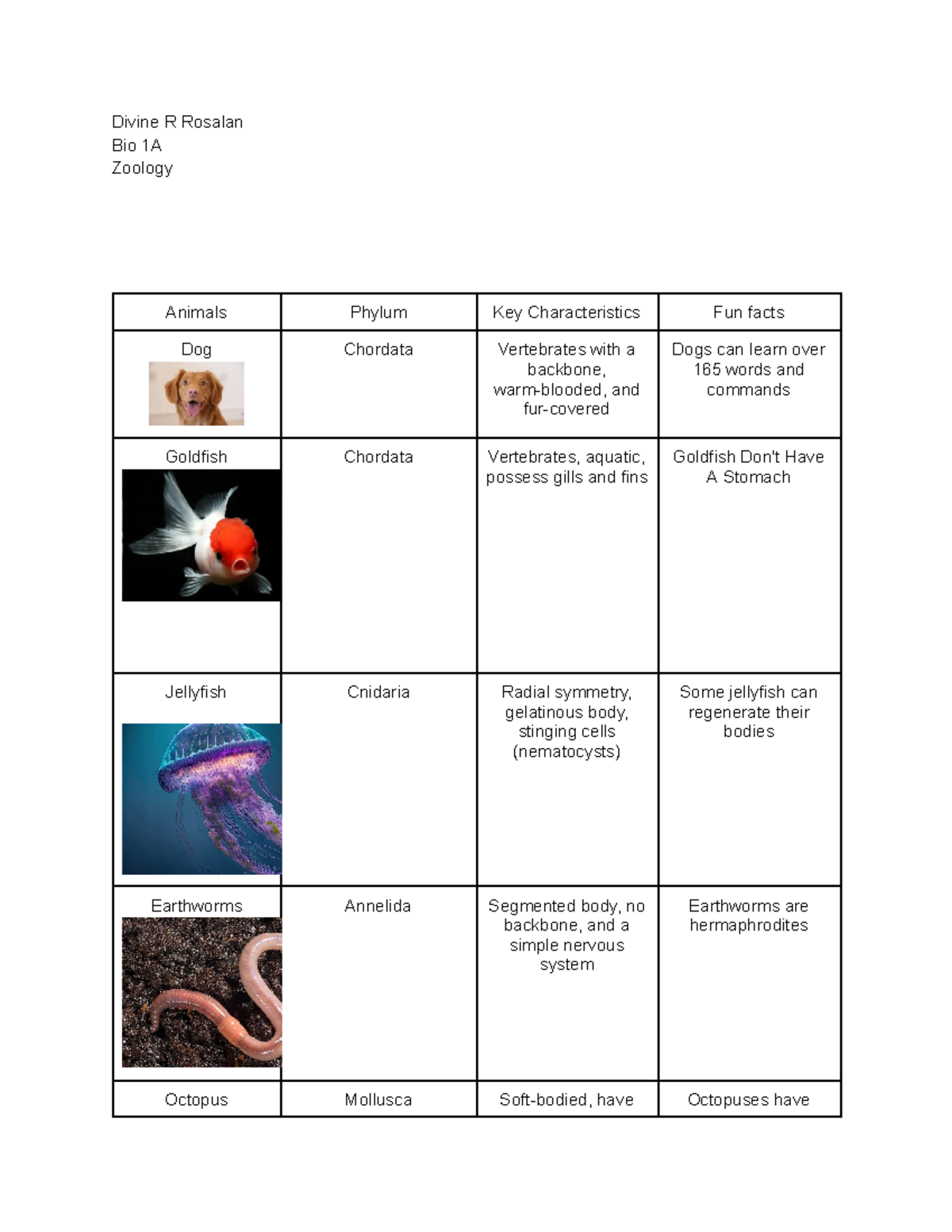 Zoology activity 2 - Reviewer - Divine R Rosalan Bio 1A Zoology Animals ...