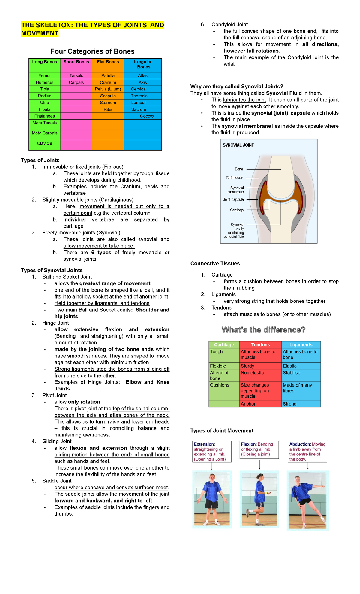 PE Semifinals Joints&Movements - THE SKELETON: THE TYPES OF JOINTS AND ...