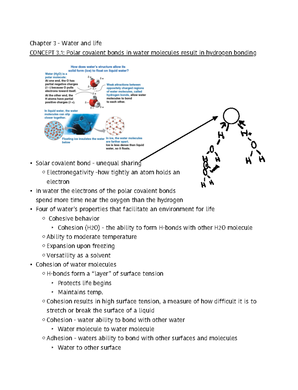 Chapter 3 - BIO 101 Prof Petersen - Chapter 3 - Water and life CONCEPT ...