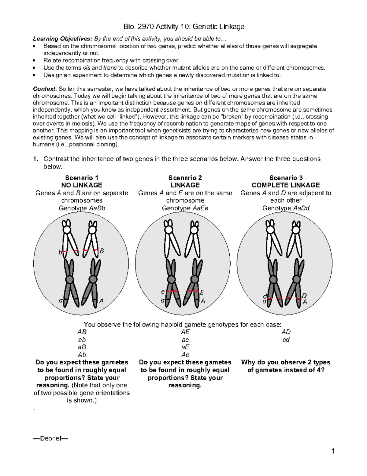 FL23 2970 Session 10 Activity linkage - Bio. 2970 Activity 10 : Genetic ...