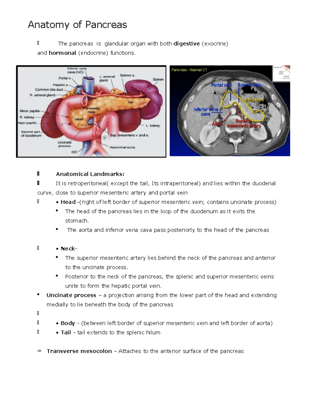 Pancreas anatomy - Anatomy of Pancreas The pancreas is glandular organ ...