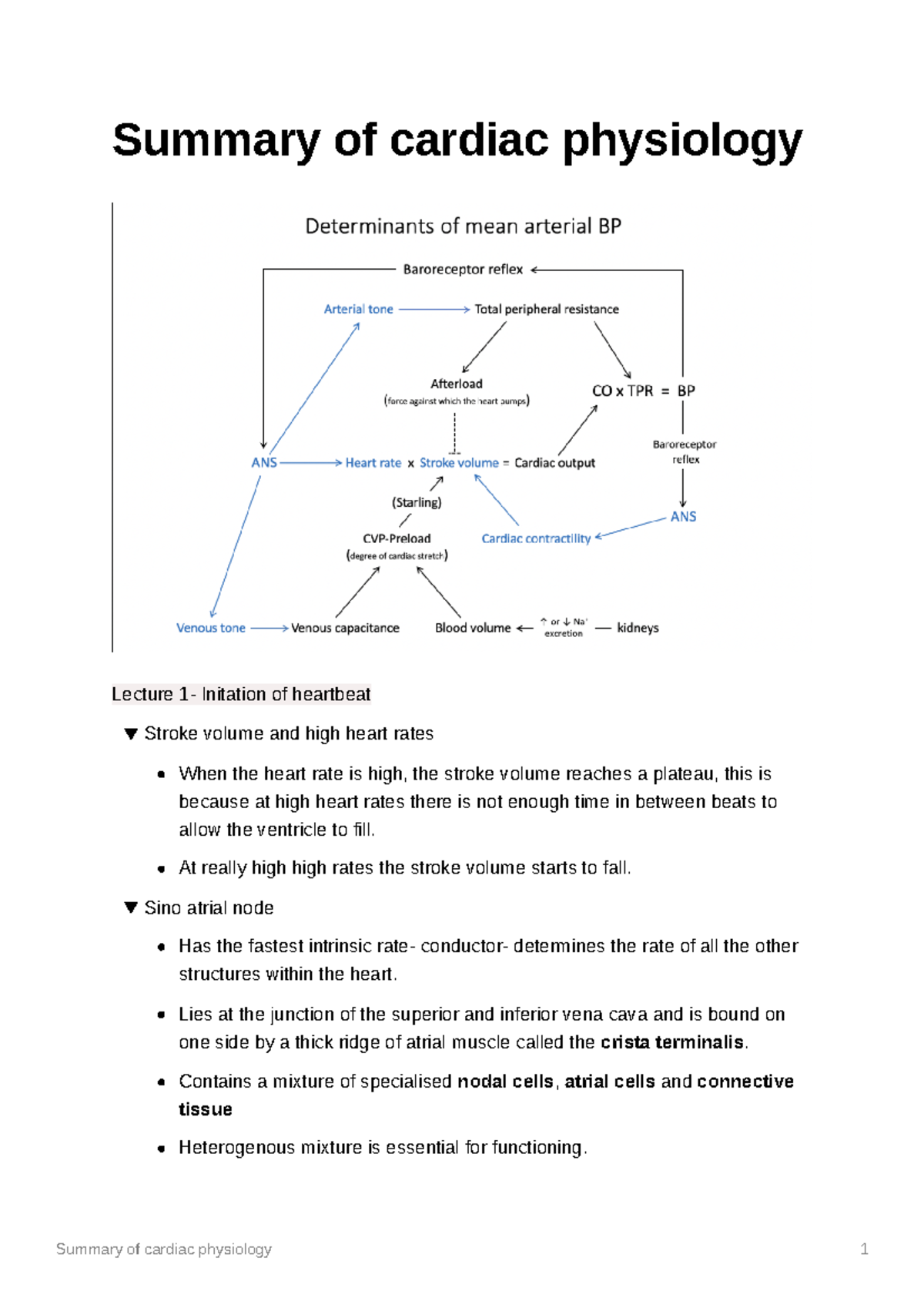cardiac physiology- lecture notes - Summary of cardiac physiology ...