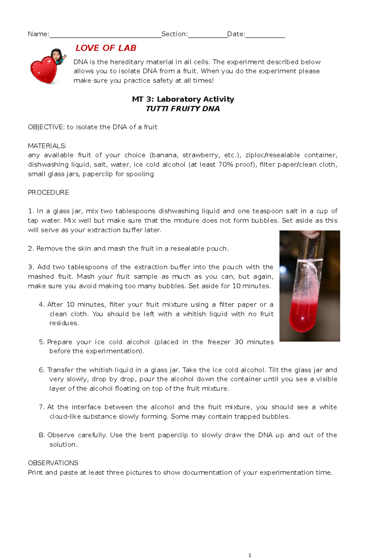 DNA Extraction - Activity sheet and practice materials - - Studocu