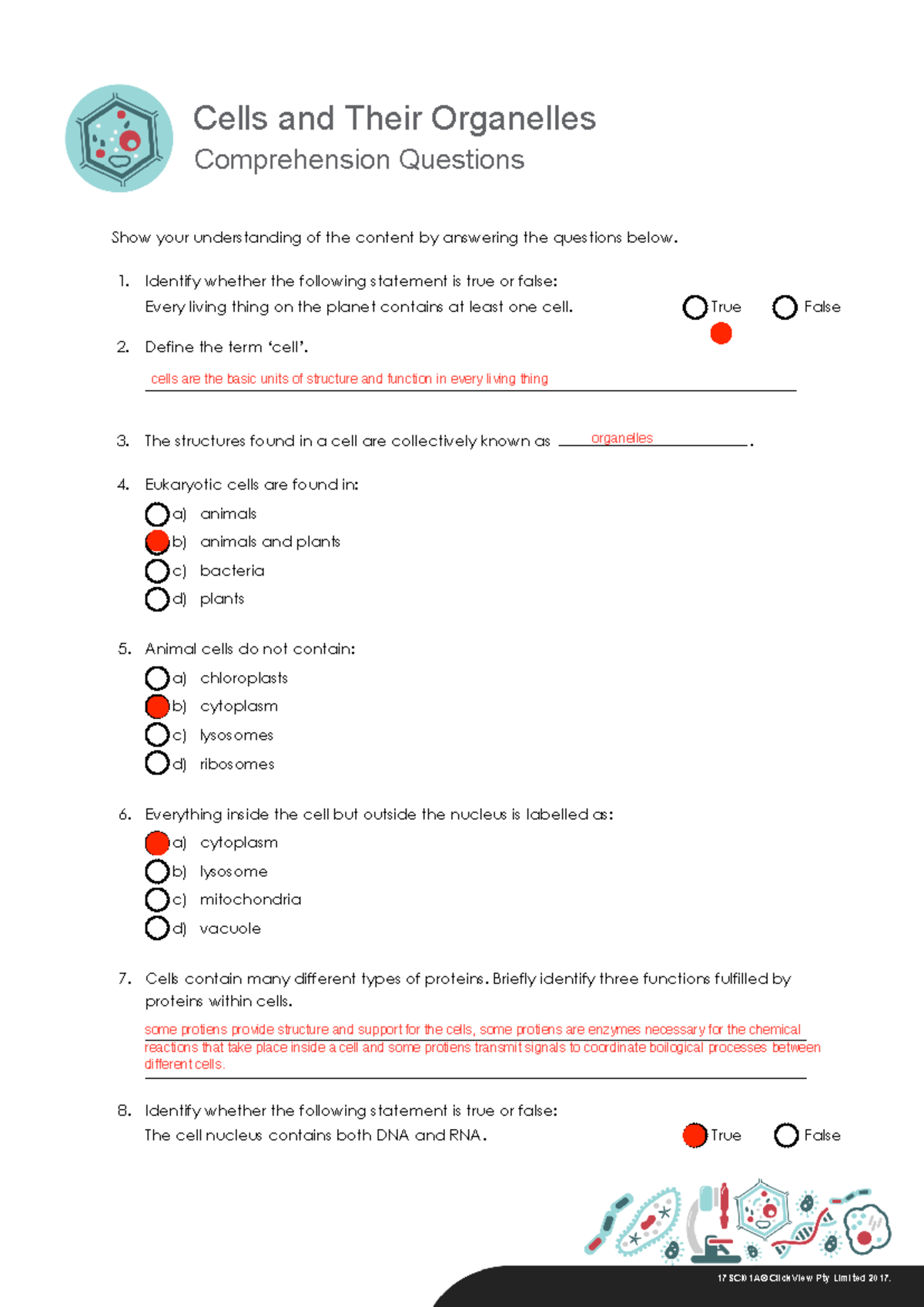 05.Cells and their Organelles - Cells and Their Organelles ...