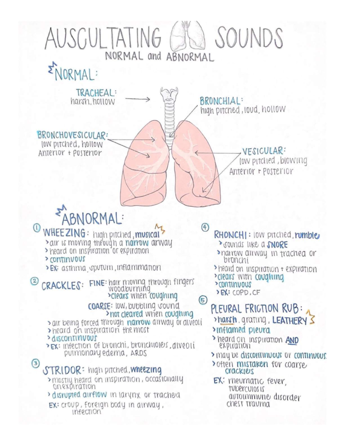 Auscultating Lung Sounds - NPU 1101 - Studocu