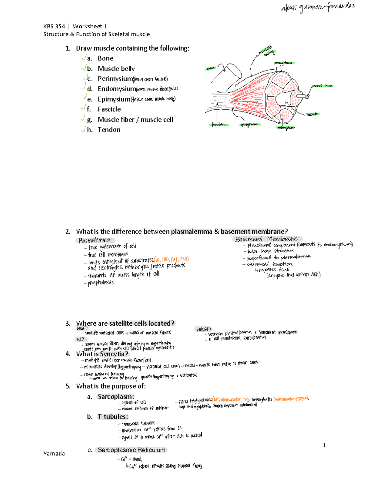 Worksheet 1 - Classwork stuff - KRS 354 | Worksheet 1 Structure ...