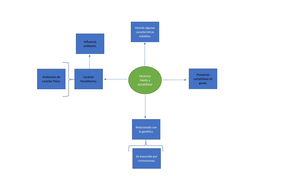 Esquema - material de apoyo - Lengua Española Básica I (Letras 011) - Herencia Medio y ...