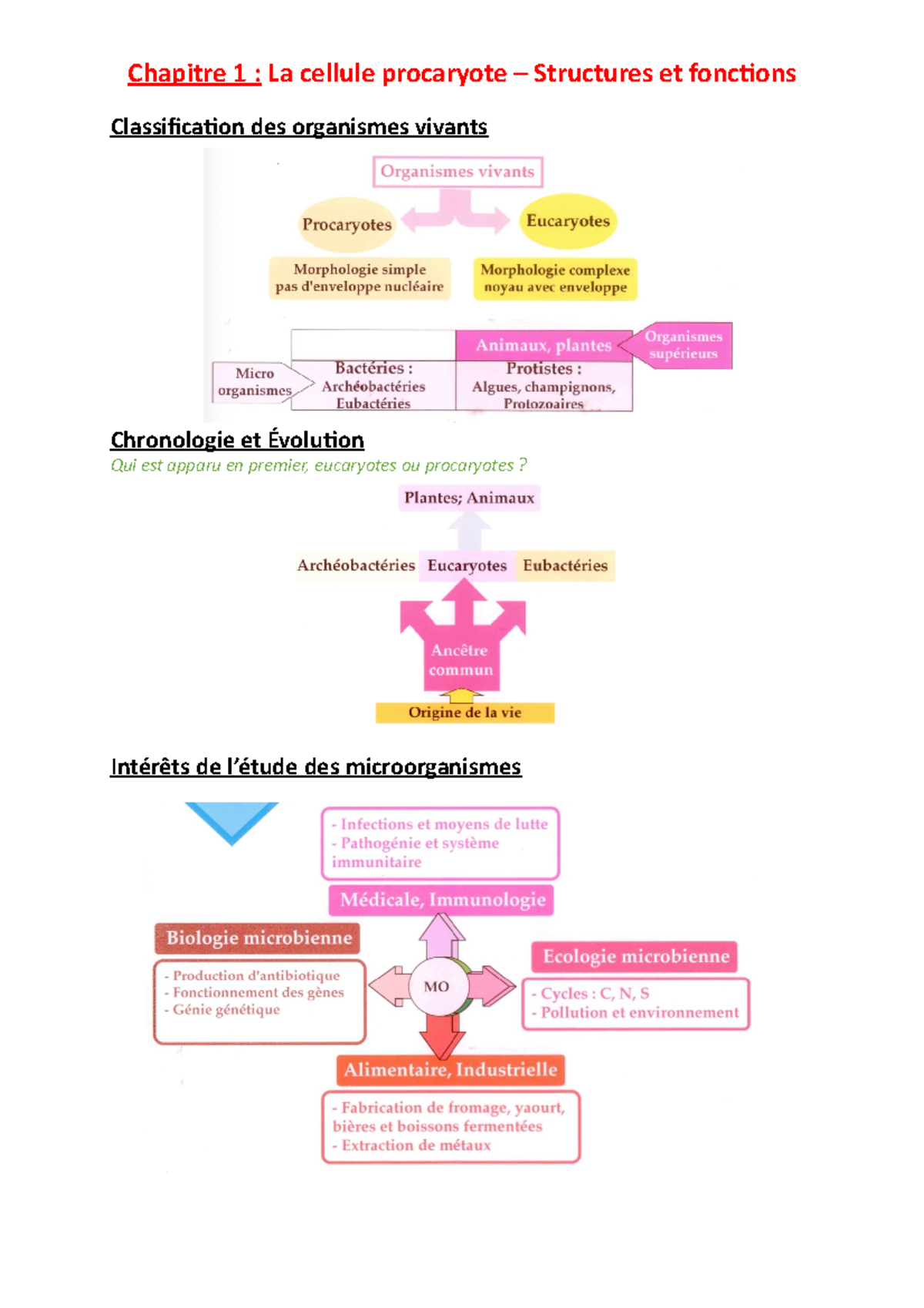 Chapitre 1 : La cellule procaryote - Structure et fonction ...
